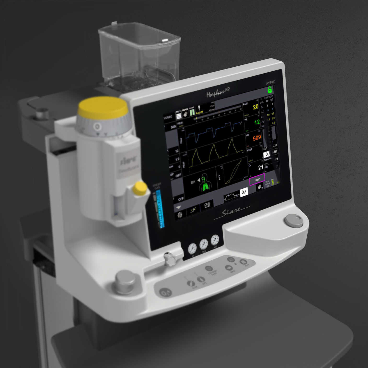 Case Studies | Creanova